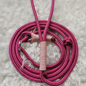 Noxel - De verbinding tussen jou en je viervoeter