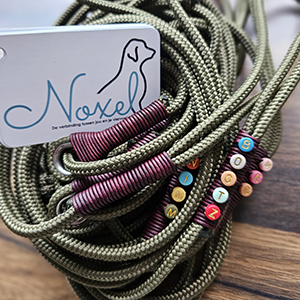 Noxel - De verbinding tussen jou en je viervoeter